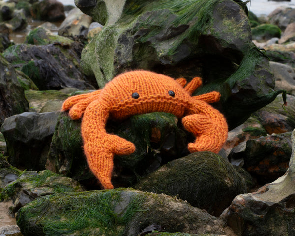 Knit Your Own Crab Kit - Sincerely Louise Store